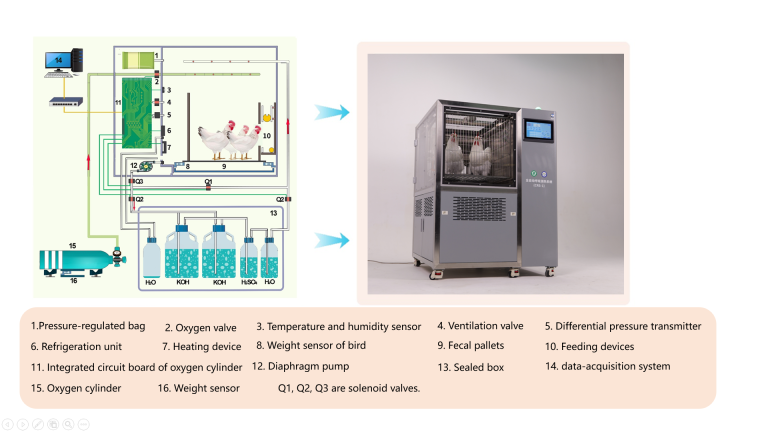 Automatic Respiration Calorimetry System I UniVOOK Industry